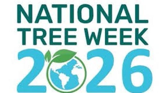 National Tree Week 8th-15th March | Tipperary County Council